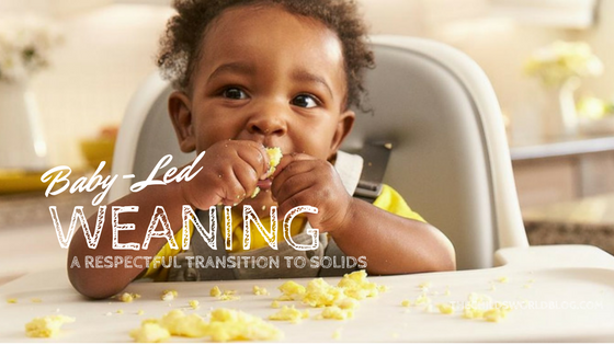 Baby-Led Weaning; A Respectful Transition to Solids